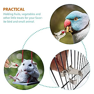 YARNOW Hamster Critters Toys 6pcs Bird Cage Food Holder Clips Stainless Steel Vegetable Fruit Clip Bird Cage Accessories for Birds Parrot Budgie Parakeet Cockatiel Little
