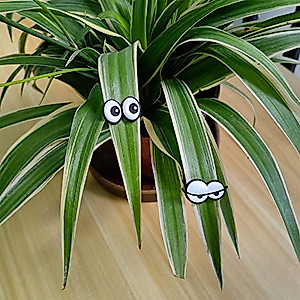 HOMDSG Cute Plant Magnets Eyes for Potted Plants, Plant Safe Magnet Pins Charms, Unique Gifts for Plant Lovers, Indoor Plant Accessories, Set of 6