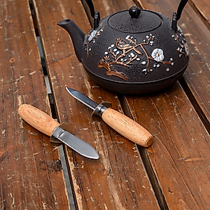 MGTECH 10 Pcs Oyster Shucking Knives, Bulk Oyster Shucker Clam Opener