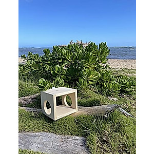 Chinchilla Leap Thru Tunnel Hideout Cage Accessory Kiln Dried Pine
