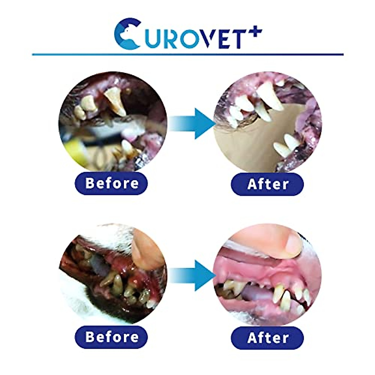 CUROVET MucoMax, Oral Wound Care Gel for Dogs and Cats, 0.35oz. Safe and Easy Care with 100% Natural Ingredients. Treats Oral Wound and Inflammation.