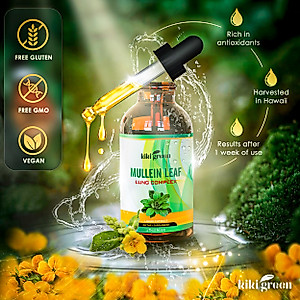KIKI Green Liquid Mullein Leaf Tincture - Herbal Supplement from Mullein Herb for Lung Cleanse, Respiratory Health, Immune Support, Liquid Supplement Extract 2 fl oz