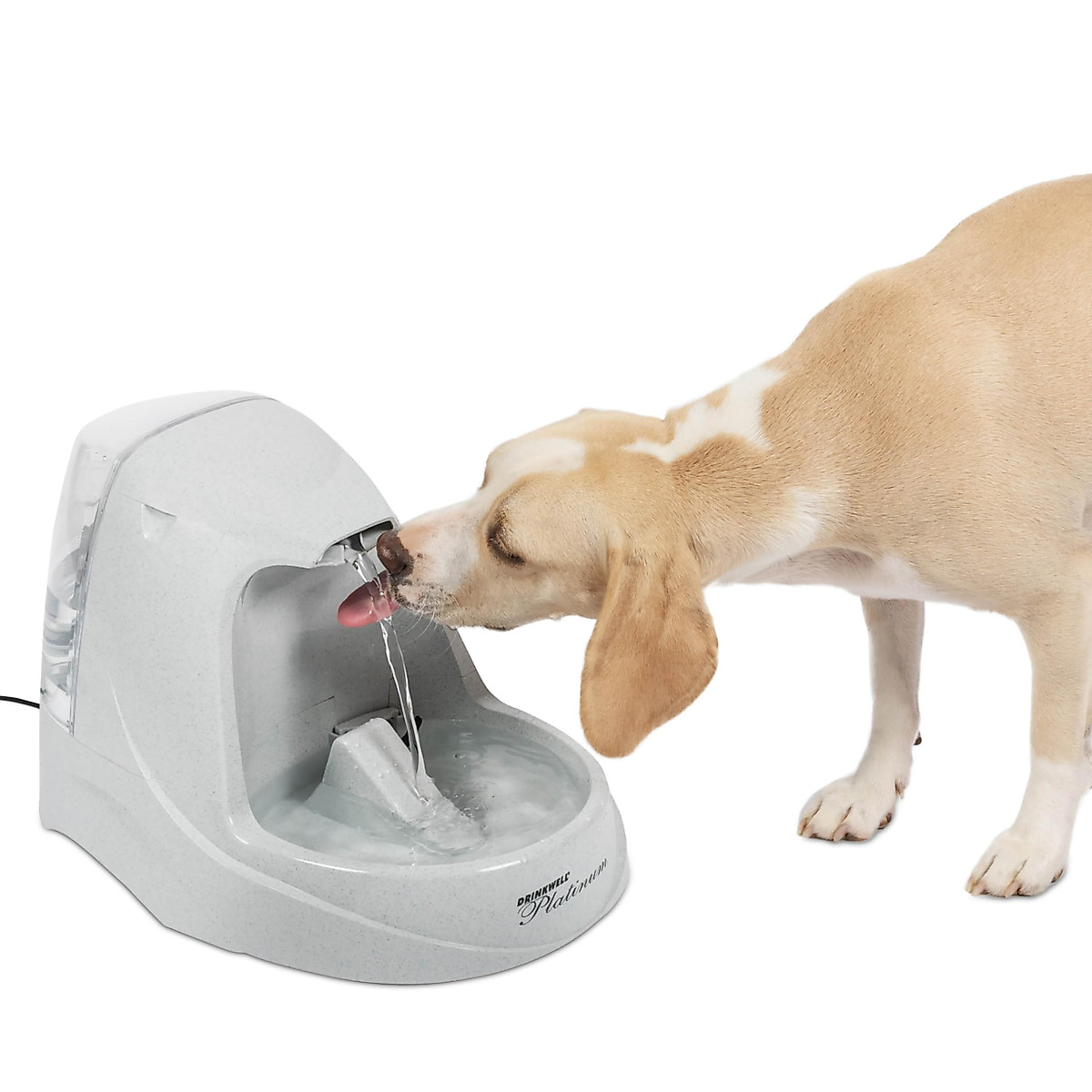 PetSafe Drinkwell Platinum Dog and Cat Water Fountain, Automatic Drinking Fountain for Pets, 168 Ounce