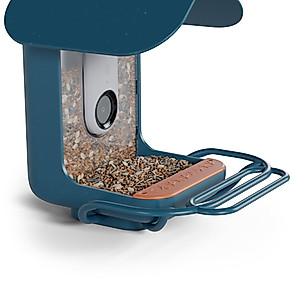 Bird Buddy Blue Perch Extender – Add-On Accessory for Better Bird Watching Experience - Outdoor Bird Perch for Feeding Multiple Birds - Weatherproof and Durable for Large Bird Species