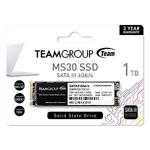 TEAMGROUP MS30 1TB with SLC Cache 3D NAND TLC M.2 2280 SATA III 6Gb/s Internal Solid State Drive SSD (Read/Write Speed up to 530/480 MB/s) Compatible with Laptop & PC Desktop TM8PS7001T0C101