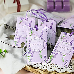 Sachets, Scented Sachets, Lavender Scented Sachets, Scented Sachet Bags of Lavender, Scented Sachets, Lavender Sachets, Home Fragrance Sachets Gift Set
