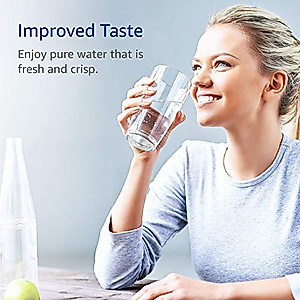 AQUACREST FQSVF Under Sink Water Filter, Replacement for GE FQSVF, FQSVN, FQSLF, GXSV65R, NSF 42 Certified (1 Set)