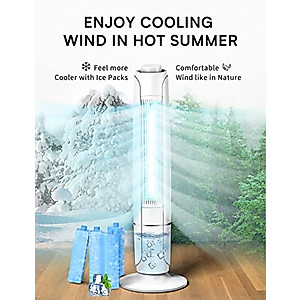 Evaporative Air Cooler Windowless - COMFYHOME 3 IN 1 Portable Evaporative Cooler, 3 Speeds, 60°Oscillation, 12H Timer & Remote, Personal Cooling Fan, Room Air Conditioner for Bedroom Home Office, 43In