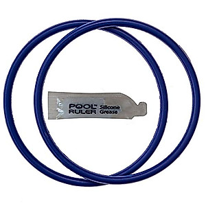 Pool Ruler R172009 Chlorine Resistant VITON O-Ring 2 Pack + Lubricant for Pentair Rainbow Chlorinator 300 & 320 Lid