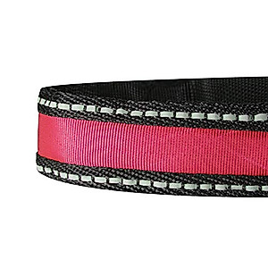 PoundWishes Rechargable Water Resistant LED Dog Leash, 6-Foot, Red