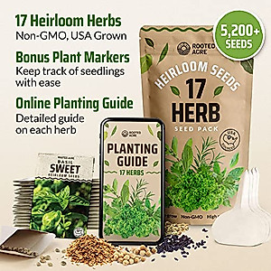17 Herb Culinary Seed Vault - 5200+ Herbs Seeds for Planting Indoor or Outdoor Garden - Heirloom, Non GMO | Hydroponic Herb Garden Seeds with High Germination | Cilantro, Mint, Chives, Basil, Parsley
