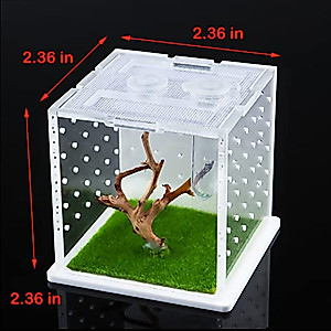 Spider Acrylic Breeding Box, Tarantula Transparent Terrarium, Jumping Spider Feeding Box, Insect Habitat Hatching Container Cage