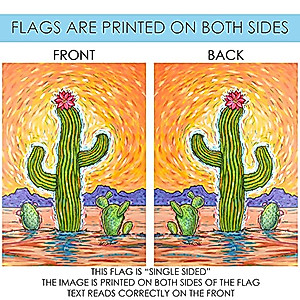 Toland Home Garden 1112540 Groovy Cactus Summer Flag 12x18 Inch Double Sided for Outdoor Desert House Yard Decoration