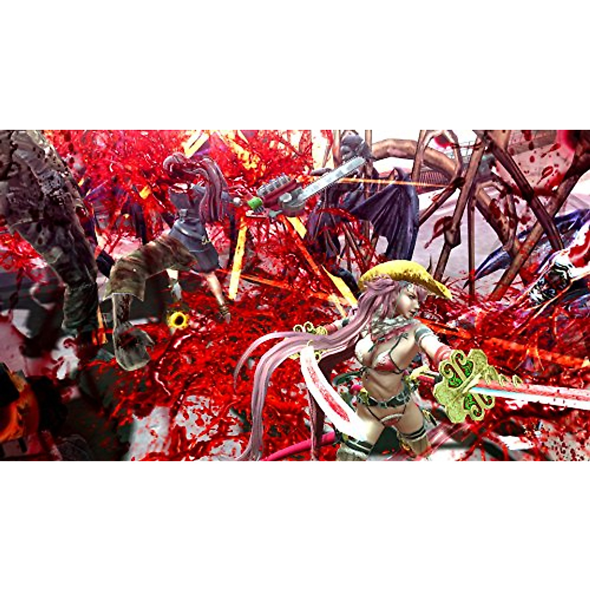 Onechanbara Z2 Chaos