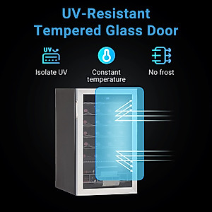 Techomey Wine Fridge Freestanding, 28 Bottle Compressor Wine Cooler Refrigerator with Digital Thermostat and Glass Door, Stainless Steel