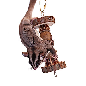 Exotic Nutrition Chew Assortment - Healthy Natural Variety Pack Chew Treat Toys - for Chinchillas, Guinea Pigs, Hamsters, Rabbits, Degus, Prairie Dogs & Other Small Pets