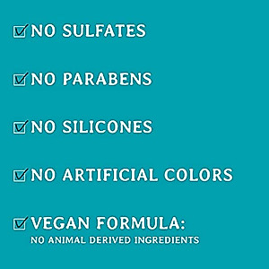 Carol’s Daughter Wash Day Delight Love at First To Foam Sulfate Free Shampoo with Aloe and Micellar Water, Paraben Free, Silicone Free, Micellar Shampoo for Kinky, Curly Hair, 16.9 fl oz