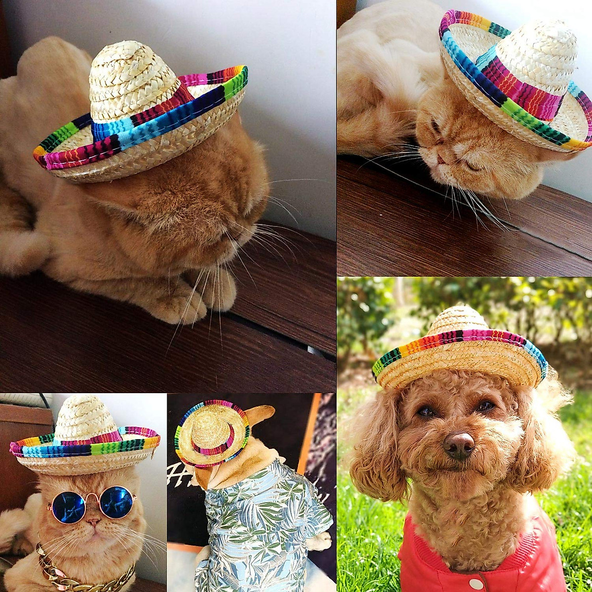 LoveBB 12 Pack Mini Sombrero Hats 5.9 Inch Small Straw Sombreros Cinco de Mayo hats for Kid Pet Doll Themed Party Decoration (Brown)