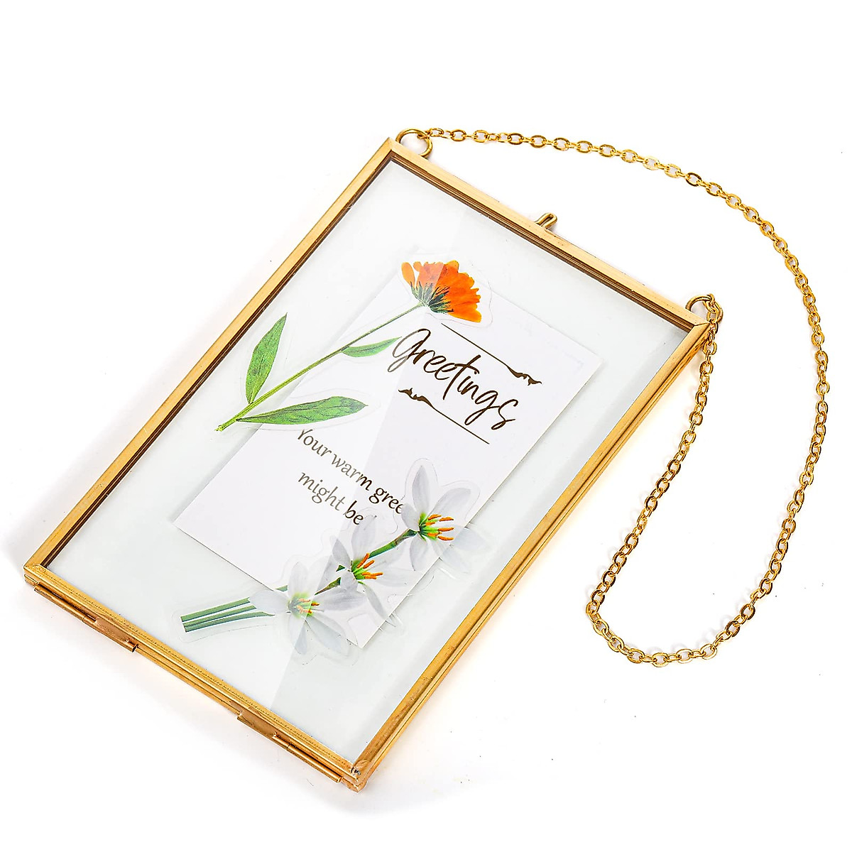 AVLA 3 Pack Pressed Flowers Glass Frames, Brass Hanging Picture Frames with Chain, Small Golden Floating Photo Frame, Clear DIY Artwork Display Frame for Wall Decor, Dried Plant Specimen