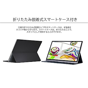 JAPANNEXT JN-MD-IPS1563FHDR 15.6-Inch FHD Mobile Monitor USB Type-C Mini HDMI