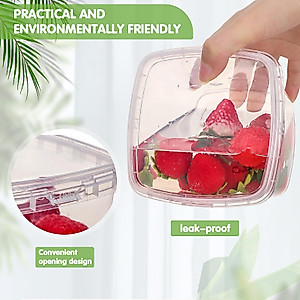 Sliner 60 Sets Square Deli Containers with Lids Clear Food Storage Containers Plastic Freezer Microwaveable Safe Deli Cups Leak Proof Airtight Meat for Restaurant(64oz, 32oz, 16oz)