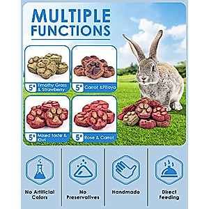 Bissap 20PCS Bunny Chew Toys, Mixed Natural Timothy Hay Rose Carrot Fruit Chinchillas Chewing Toys and Treats for Rabbits Bunnies Guinea Pigs Hamsters Gerbils and Other Small Animals Molar Snacks