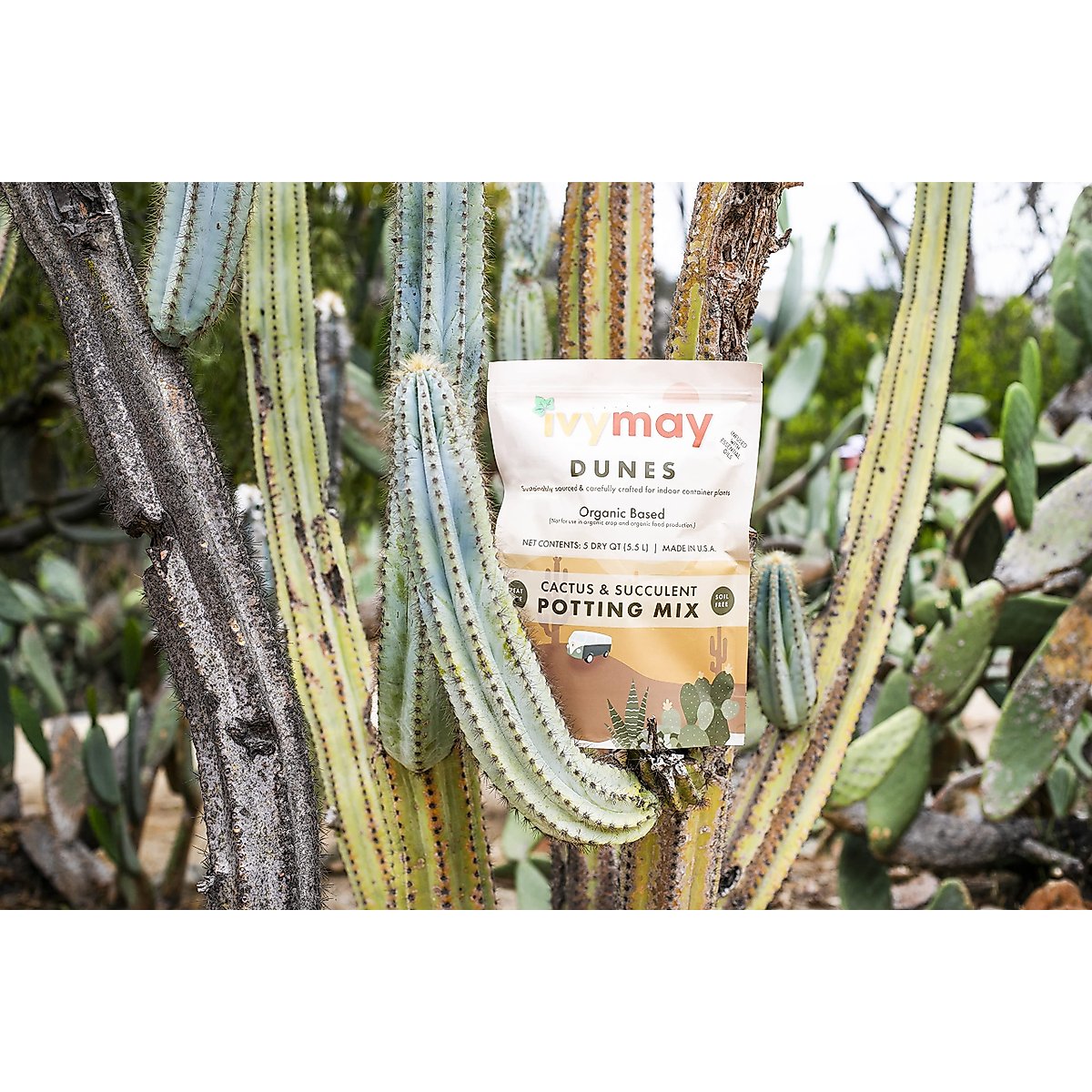 IvyMay Dunes Succulent Soil ― Organic Cactus Soil Potting Mix for Succulents, Ready to Use Potting Soil Indoor Plants with Perlite, Pumice, Earthworm Castings, Essential Oils ― 5 qt