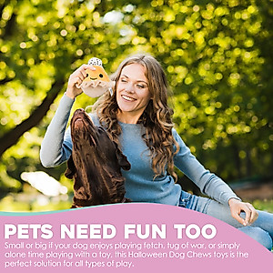 Flourish Pets 2 in 1 Multi-Layer Chew Toy for Active Dogs | Non-Toxic BPA Free Double Stitched Soft Fabric Exterior Dog Toys | Long-Lasting Dog Plush Toys – Turkey + Pumpkin (4”)