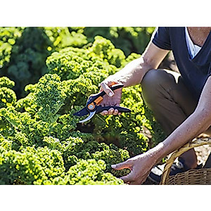 Fiskars SmartFit Pruner Bypass P68, Cutting Diameter Adjustable Up to 2.4 cm, Steel Blades with Non-stick Coating/Fiberglass ReinForced Plastic Handles, Length:20 cm, Black/Orange, 1001424