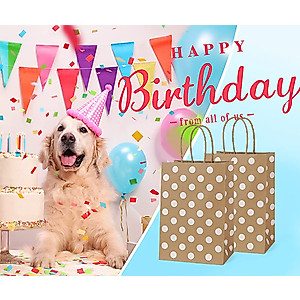 BagDream Small Paper Gift Bags 25Pcs 5.25x3.75x8 Inches Kraft Paper Bags with Handles, Paper Shopping Bags Party Bags Recyclable Kraft Bags Brown Dot Party Bags