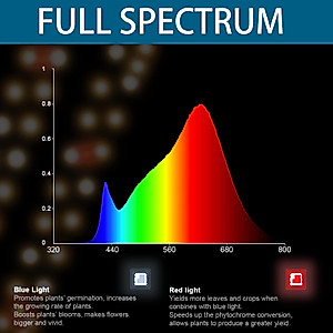 Barrina Grow Lights for Indoor Plants, Full Spectrum Sunlight, 1ft Plant Light, LED Grow Light, T5 Grow Light Strip, Plug and Play, Yellow, 8-Pack