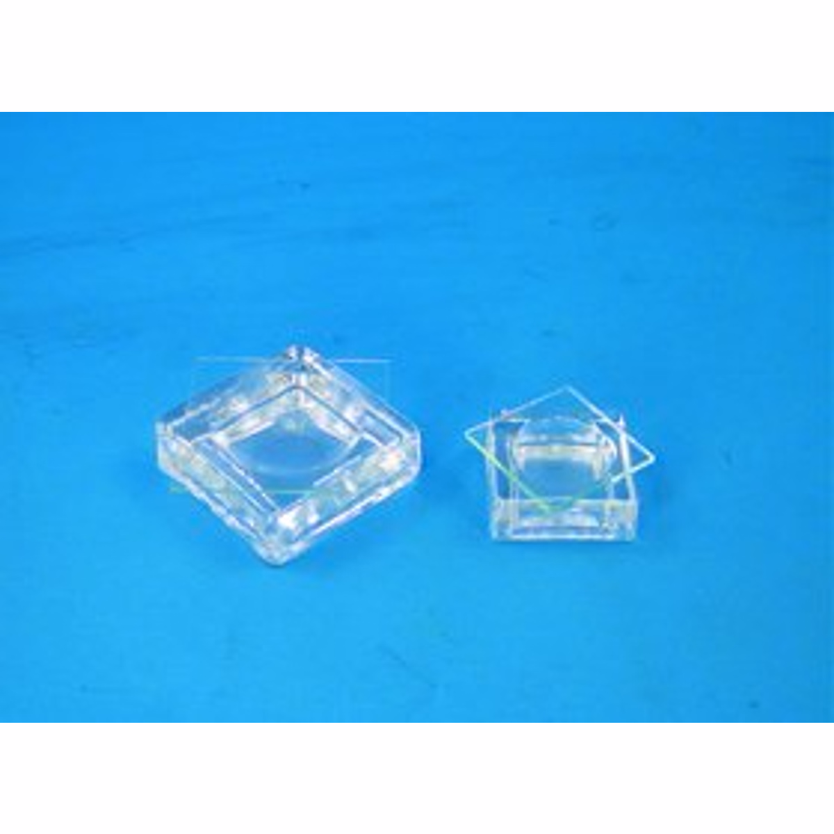 Embryo Dish, 45 mm O.D.