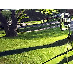 LincShine All-in-One Detailer + Shine + Protectant