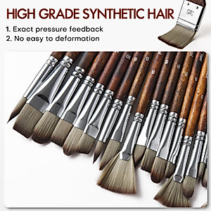 25pcs Paint Brush Set, Fuumuui Acrylic Paint Brushes, Professional Artist Series with Wide Flat, Filbert, Fan, Dagger, Cat Tongue, Round, Angle, Rigger for Oil, Acrylic Canvas Paintings, Face Painting