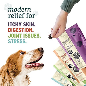 Sunmed Probiotics for Dogs with Pumpkin & Probiotic Blend - Formulated for Dog Digestive Health, Overall Wellness - Hemp Extract Chews, 40 Count