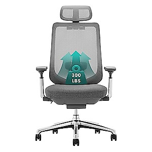 Ergonomic Mesh Office Chair, High Back Computer Executive Desk Chair with Adjustable Headrest and 4D Arms, Slide Seat, Tilt Lock-Dark Grey