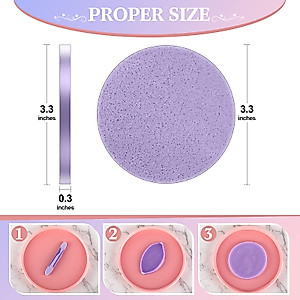 480 Count Compressed Facial Sponges Makeup Removal Round Face Wash Sponges Reusable Face Sponges for Cleansing Exfoliating PVA Spa Facial Pads for Women Esthetician Beauty Remover Supplies, 4 Colors