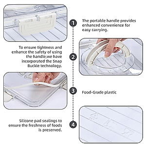 Snackle Box Charcuterie Container, Divided Serving Tray with Lid and Handle, Portable Snack Platters for Fruit, Nuts, Candy, Entertaining, Party, Picnic