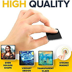 Decorative Magnets for Fridge – Glass Magnets for Refrigerator – Cute Fridge Magnets for Office and Kitchen – Succulent Whiteboard Magnets for Locker