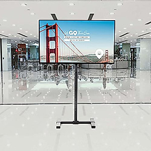 VIVO TV Floor Stand for 13 to 50 inch Flat Panel LED LCD Plasma Screens, Portable Display Height Adjustable Mount STAND-TV07