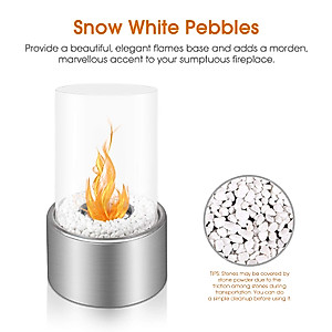 BRIAN & DANY Tabletop Fire Pit, Mini Portable Table Top Firepit Bowl, Ethanol Tabletop Fireplace for Indoor & Outdoor, Silver