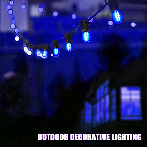 ZHZHLED S14 Blue Light Bulb Plastic 2 Watt LED Replacement Bulbs for Indoor Outdoor String Lights, Shatterproof Decorative E26 Base Filament Edison Christmas Halloween Colored Light Bulbs,15 Pack