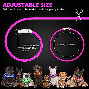 Light Up Dog Collars, Led Dog Collar for Pet Safety in Dark, Waterproof Rechargeable Dog Collar Light, Adjustable Size fit Most Dog, 3 Light Modes Dog Lights for Night Walking & Camping