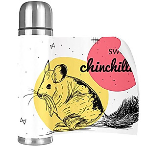 Cute Sweet Chinchilla Vacuum Insulated Water Bottle Stainless Steel Thermos Flask Travel Mug Coffee Cup Double Walled 17 OZ