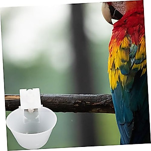 FONDOTIN 10 Sets Pigeon Drinker Poultry Waterer Food Serving Tray Bird Cage Chicken Drinking Tool Clear Drinking Glasses Pet Drinking Holder Bird Supplies Water Birdfeeder White Plastic