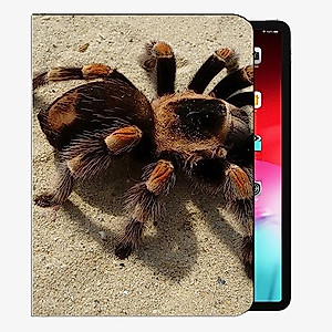Hubin Compatible with iPad Air 5th Generation Case 2022/ iPad Air Case 4th Generation 10.9'',Spider Tarantula Animals A189 Whit Auto Sleep/Wake Up