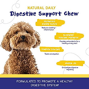 PupGrade Digestive Support Chews for Dogs - Upset Stomach, Diarrhea, Bowel, & Immune Support - Supplement with Probiotics, Prebiotics, Enzymes - Pumpkin, Blueberry, Mineral Oil - 60 Soft Chews