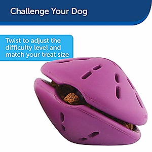 PetSafe Busy Buddy Twist 'n Treat Dispensing Dog Toy - Medium,Purple,Large Breeds
