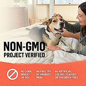 Purina Beyond Organic Wet Dog Food, Organic Chicken & Sweet Potato Adult Recipe Ground Entrée With Broth - (12) 13 oz. Cans