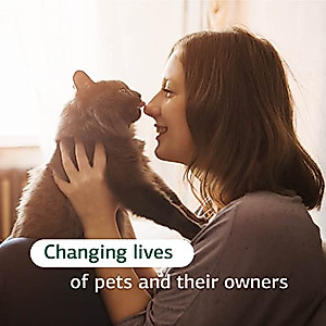 Standard Process - Feline Enteric Support - 90 Tablets